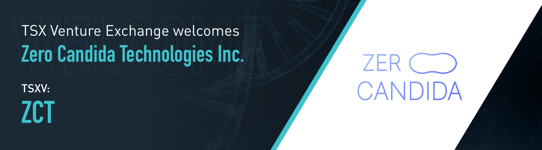 TMX TSX | TSXV - Toronto Stock Exchange and TSX Venture Exchange